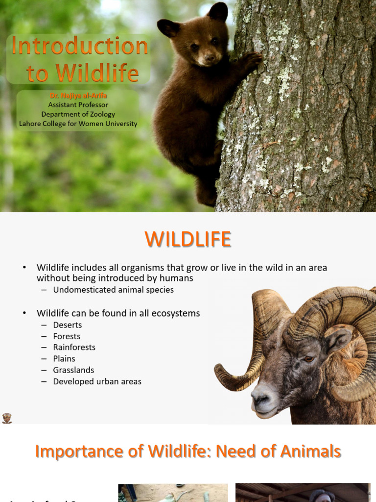 Introduction To Wildlife | PDF | Wildlife | Ecology