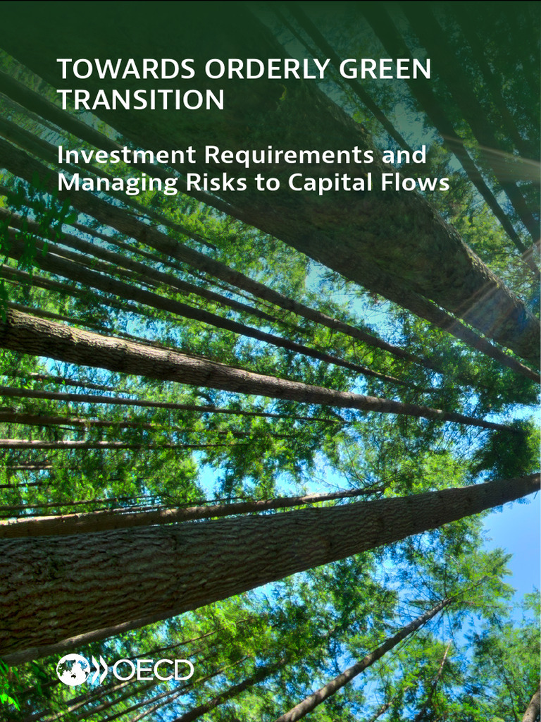 Towards Orderly Green Transition | PDF | Investing | International ...