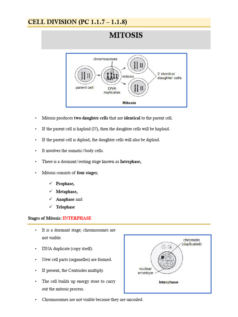 cell division_cell division_1 | PDF | Meiosis | Mitosis