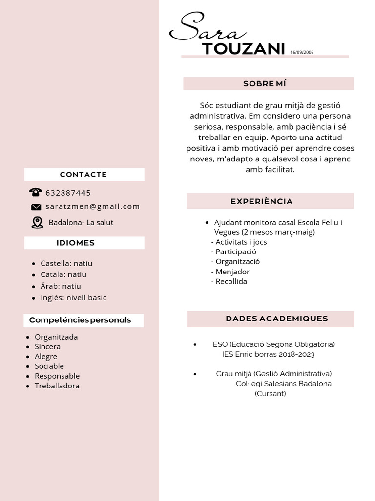 CV Sara Touzani 2 | PDF