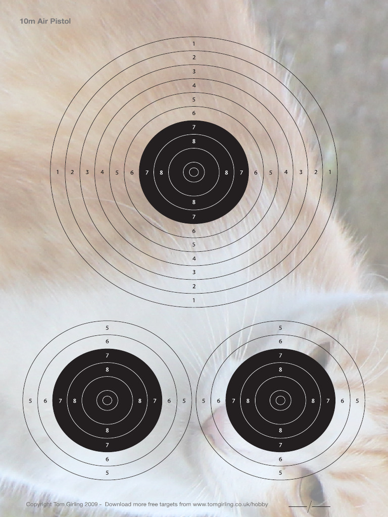 A4 10m Air Pistol Target Watermark | PDF