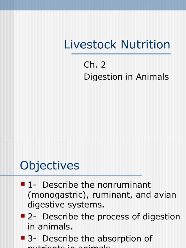 Digestive System of Farm Animals | PDF