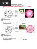 Botany Practical Examination Key 2024 | PDF | Plant Stem | Vector (Molecular Biology)