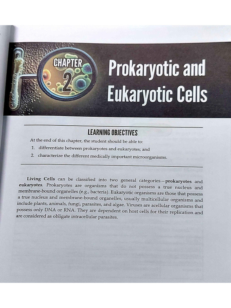 Chapter2 Prokaryotic and Eukaryotic Cells | PDF