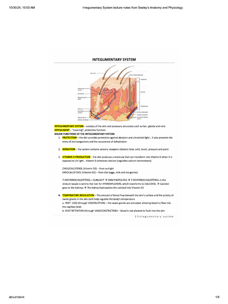 Integumentary System Reviewer Finals Quarter | PDF
