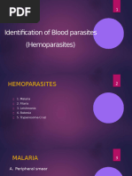 Malaria Parasite Counting | PDF | Malaria | White Blood Cell