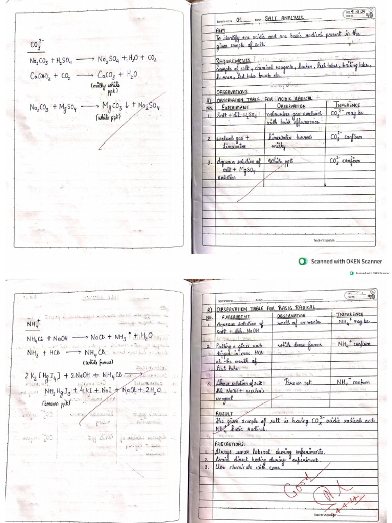 Chemistry Practicals.. | PDF
