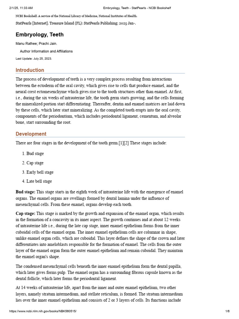 Embryology, Teeth - StatPearls - NCBI Bookshelf | PDF | Tooth Enamel ...