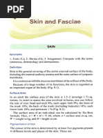 Friction Ridge Skin Morphogenesis and Overview | PDF | Epidermis | Hand