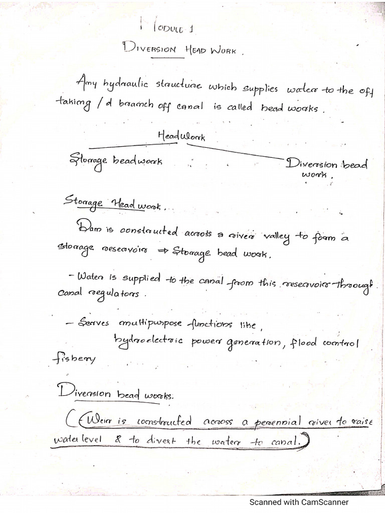 Dhs - Modlue 1 - Class Notes | PDF