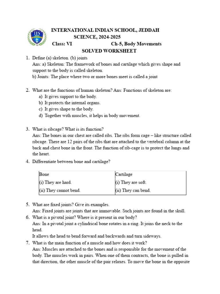 Body Movements Worksheet for Class VI | PDF | Skeleton ...