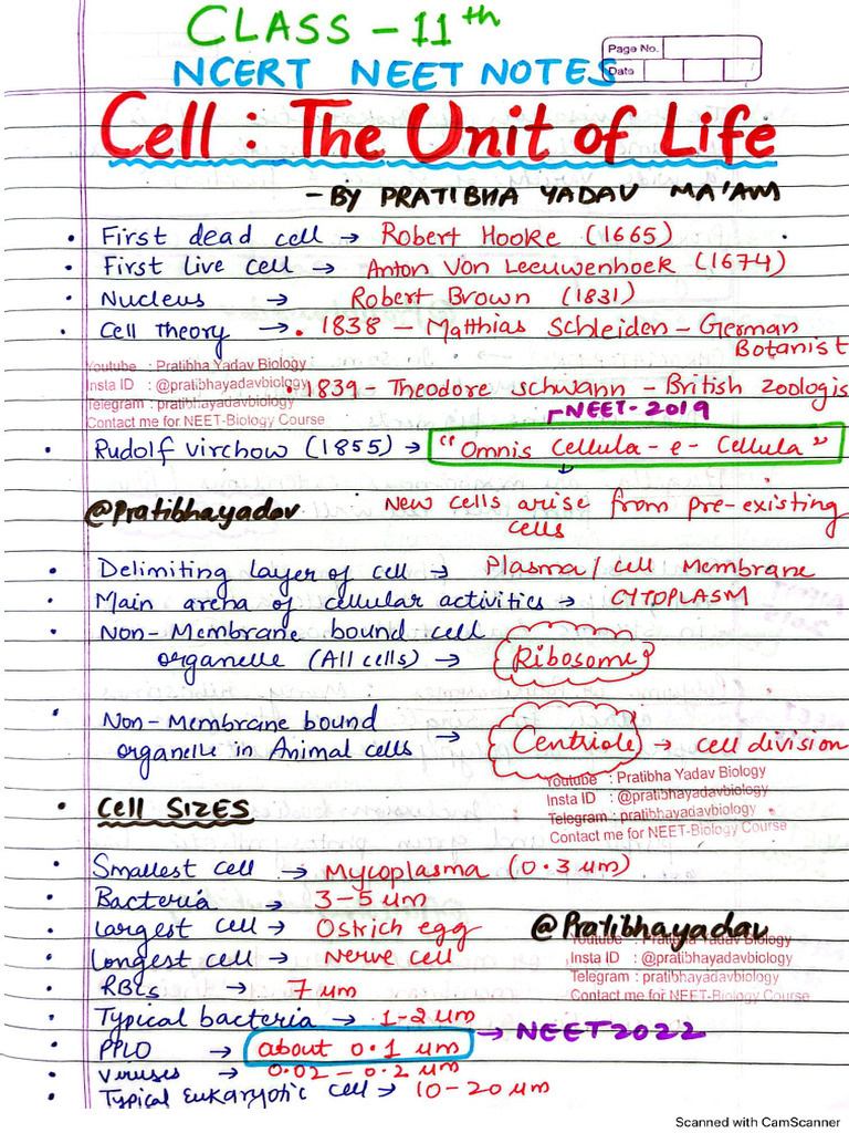 Cell The Unit of Life | PDF