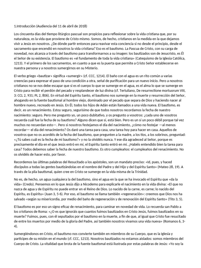 Bautismo Papa Pancho | PDF | Bautismo | Cristo (título)