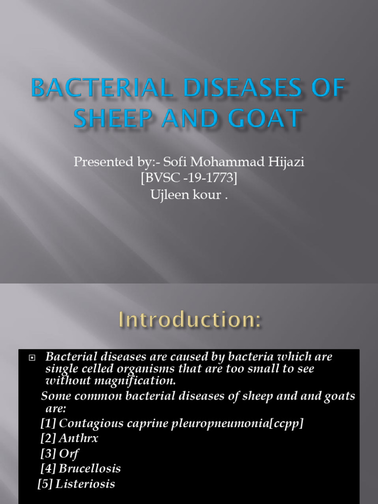 Bacterial Diseases of Sheep and Goat | PDF | Infection | Anthrax