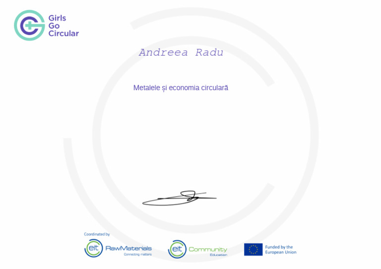 Andreea Radu: Digital Skills Certification | PDF