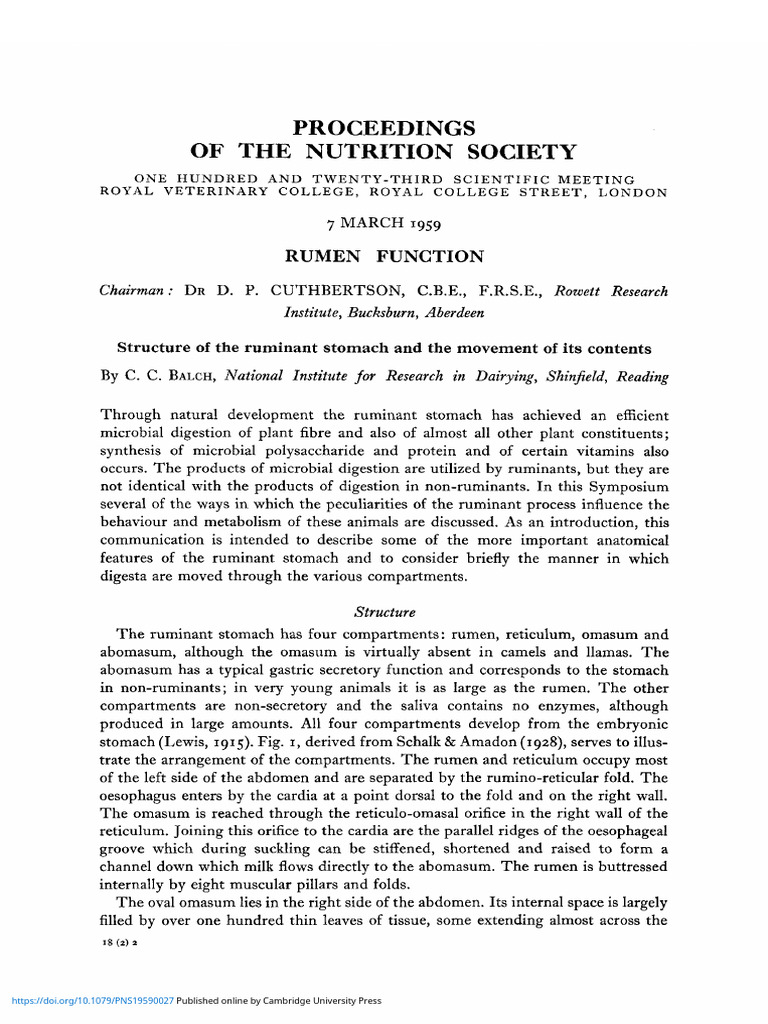 Ruminant Stomach Structure and Function | PDF | Ruminant | Digestion