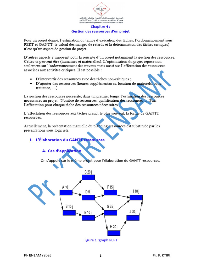 Gestion des ressources de projet efficace | PDF | Informatique