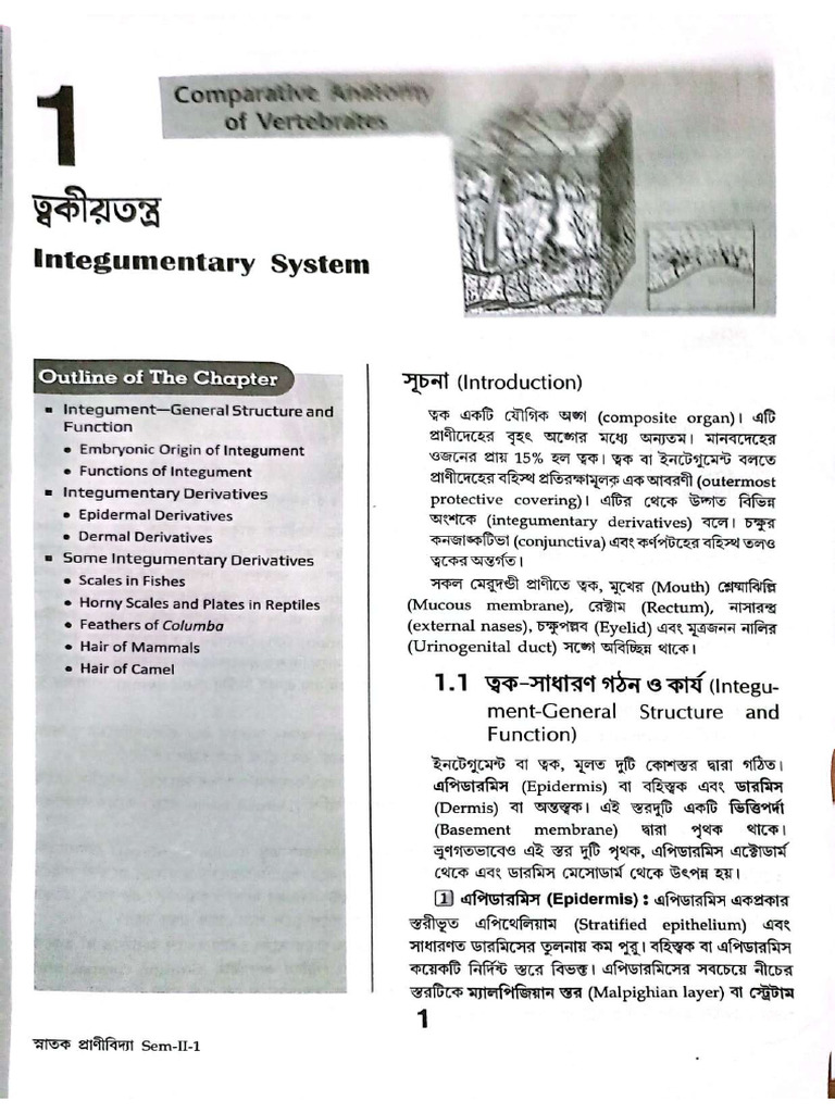 3rd Sem Book Full Scan | PDF