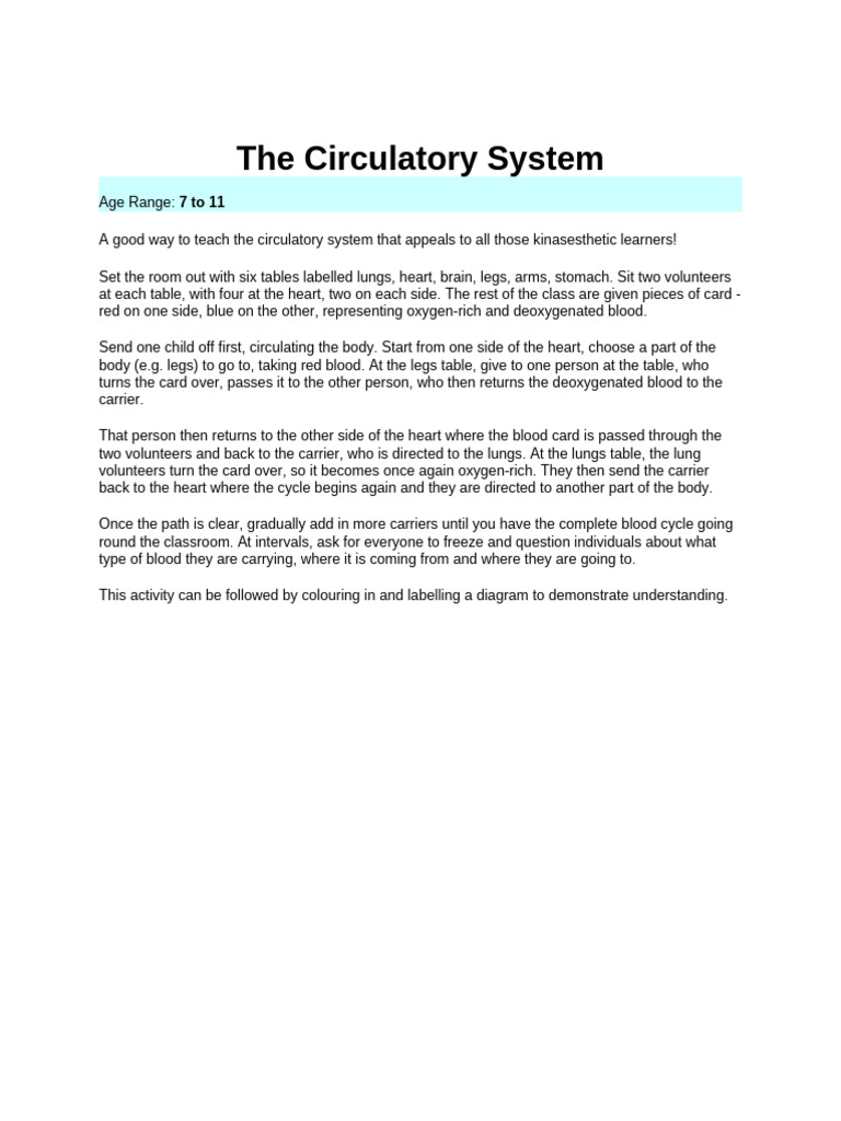 The Circulatory System Activity | PDF