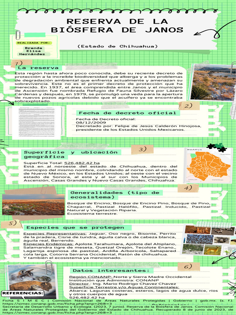 Reserva de la Biosfera Janos: Biodiversidad y Protección | PDF ...