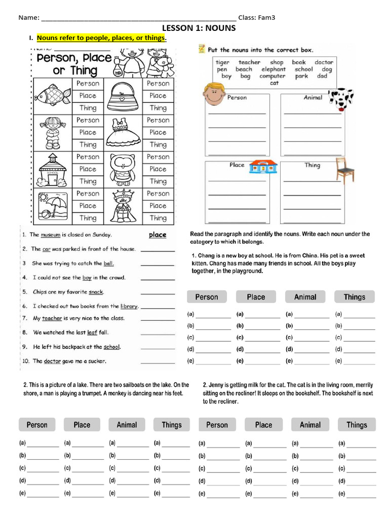 Beginner Grammar: Nouns Basics | PDF