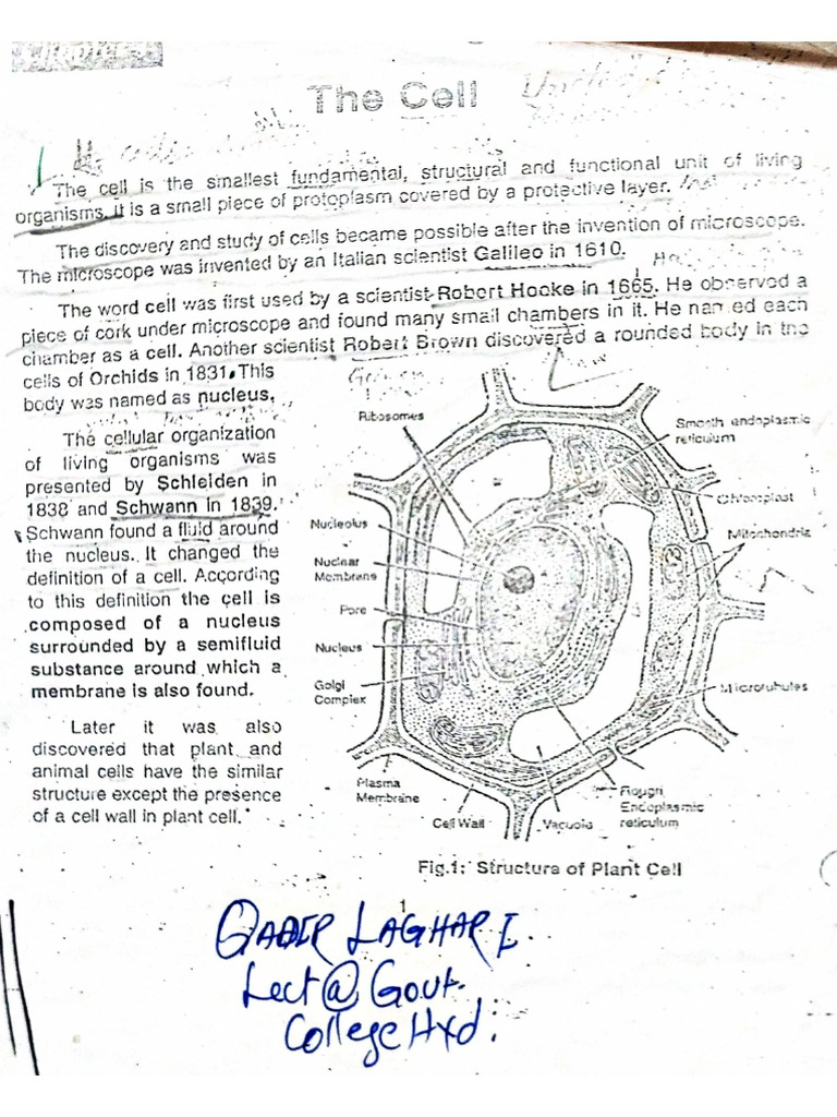 Botany XI - Chapter 03 Cell Structure and Function | PDF