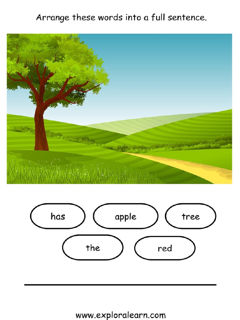 Arrange Words 1-2 | PDF