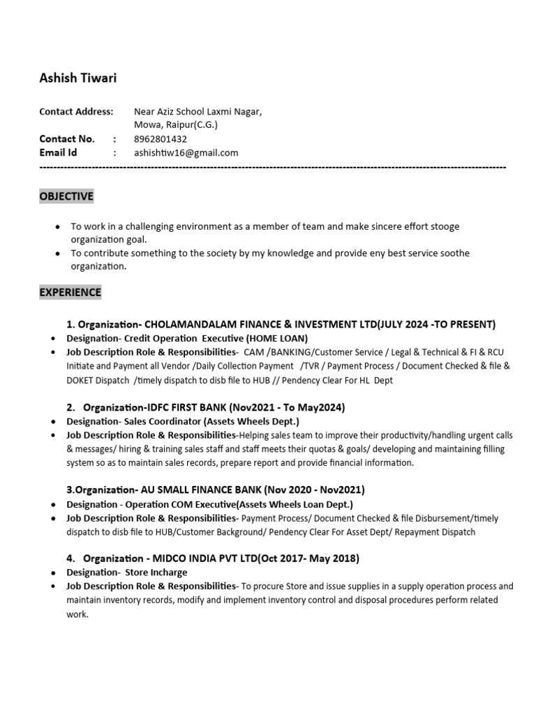 Ashish CV | PDF | Personal Finance | Financial Services