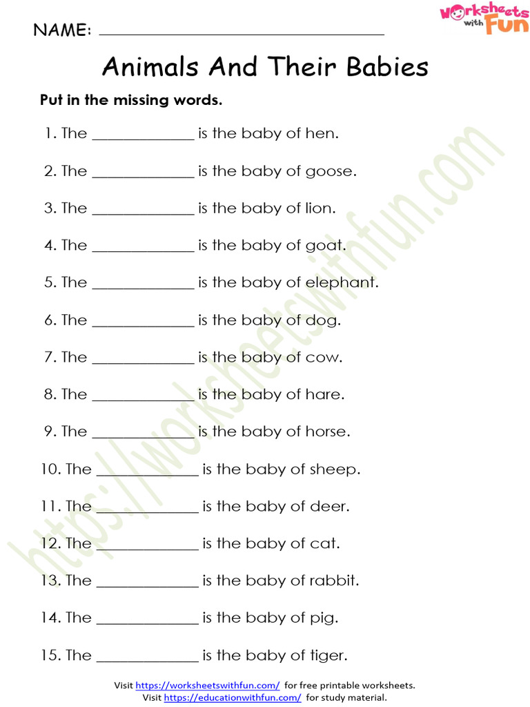 Animal and Their Babies Worksheet 1 | PDF