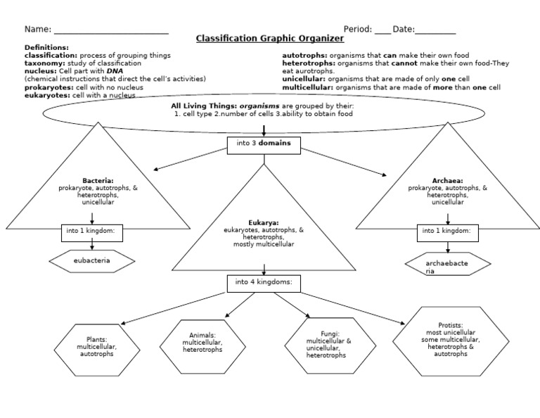 Classification Graphic Organizer Rev 12-13 | PDF | Cell (Biology ...