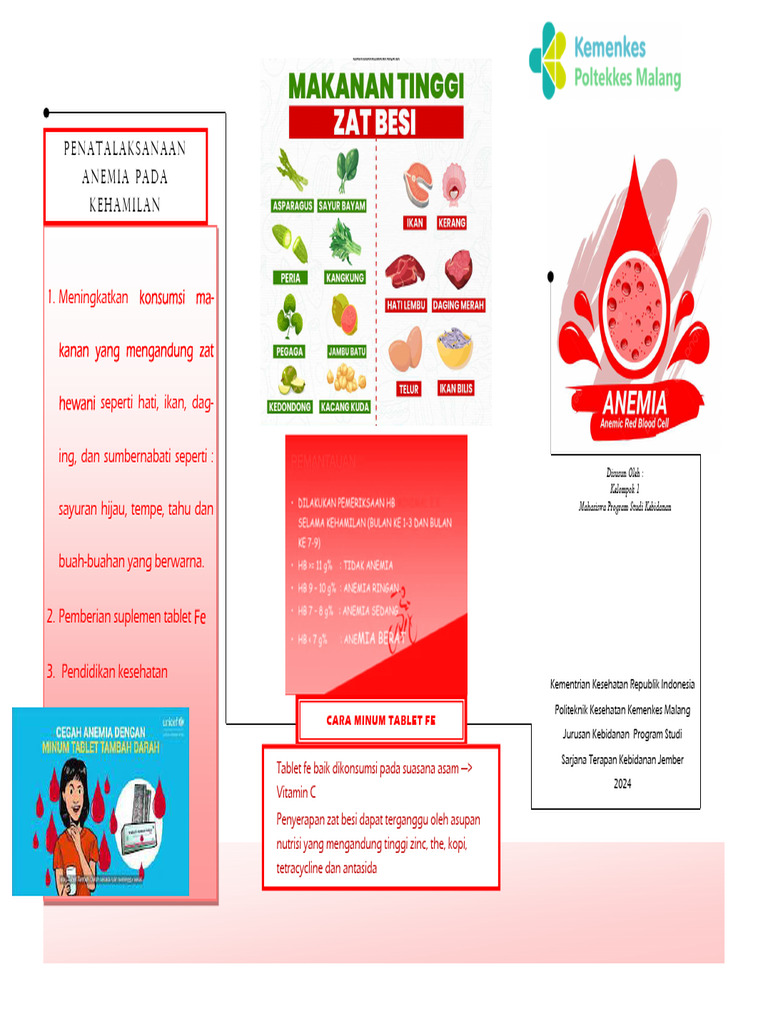 Leaflet Anemia | PDF