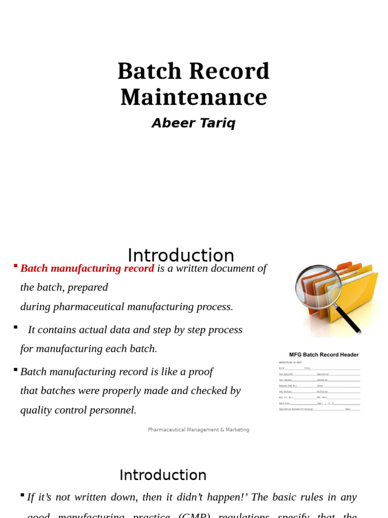 Batch Manufacturing Record Guidelines | PDF