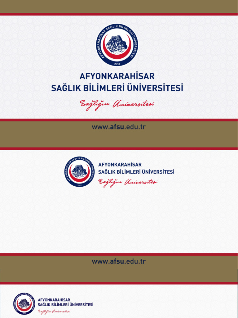 AFSU Power Point Sunum B | PDF