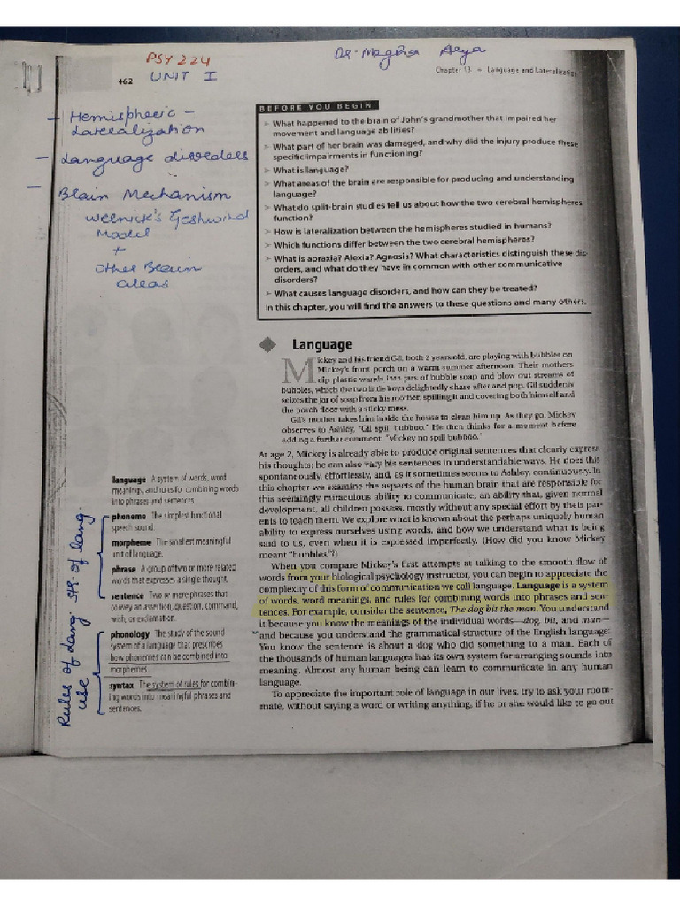 Unit 1 Language | PDF