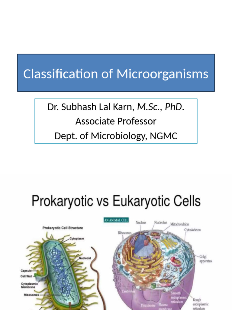 Classification of Microorganisms | PDF
