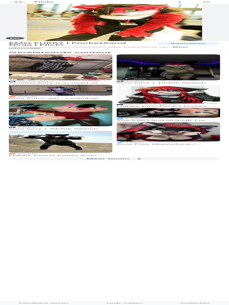 Emo Furry - Google Zoeken | PDF