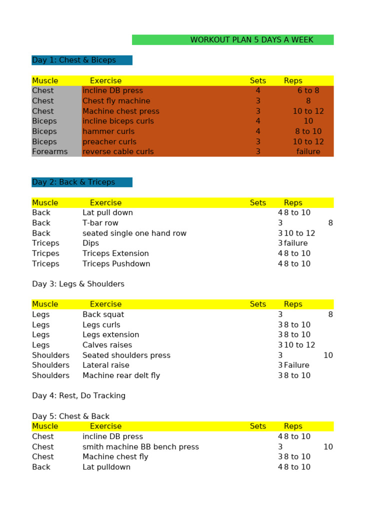 5-Day Workout Plan: Strength Training | PDF | Arm | Human Anatomy