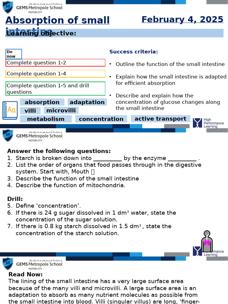 L5 Small Intestine Absorption STUDENTS | PDF | Small Intestine | Digestion