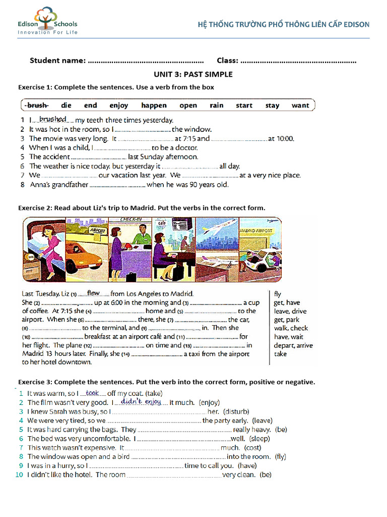 Past Simple Exercises for Students | PDF