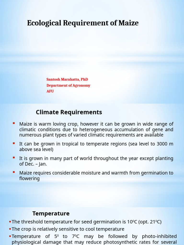 Ecological Requirements of Maize | PDF | Soil | Maize