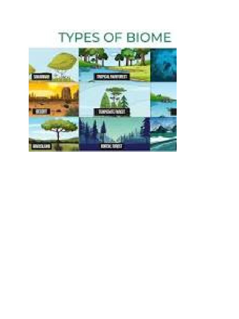 biome | PDF