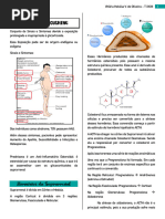 O Eixo HHA Entendendo o Mecanismo Central de Resposta Ao Estresse | PDF | Cortisol | Glândula ...