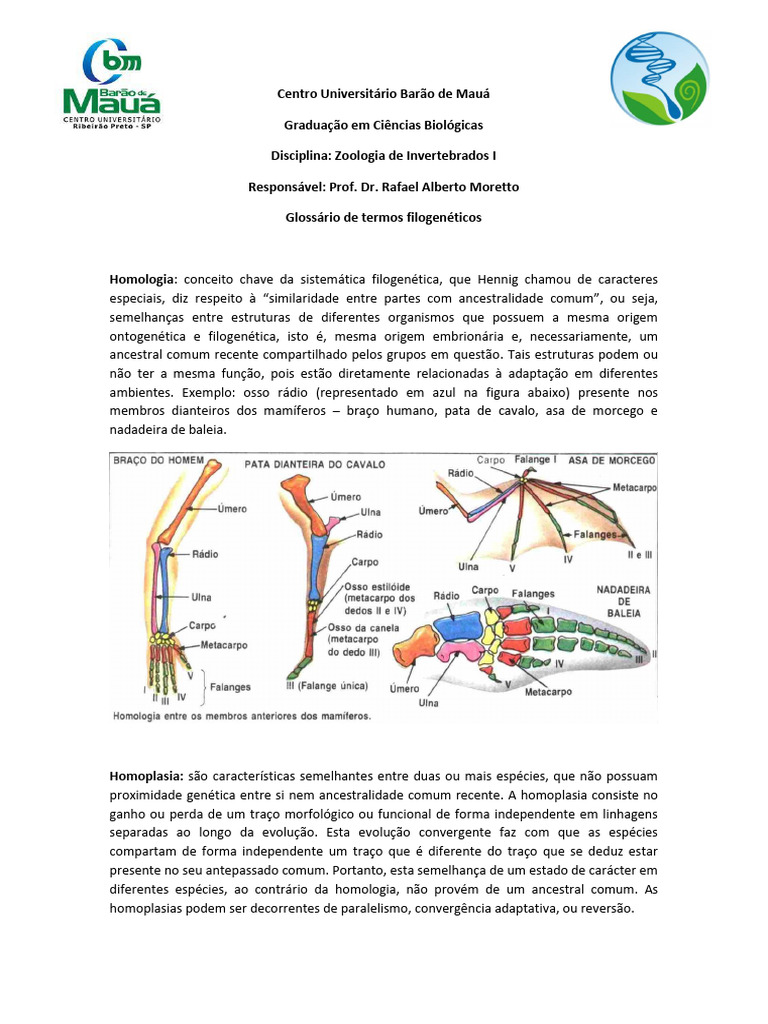 Glossário de Termos Filogenéticos | PDF | Biologia | Classificação ...