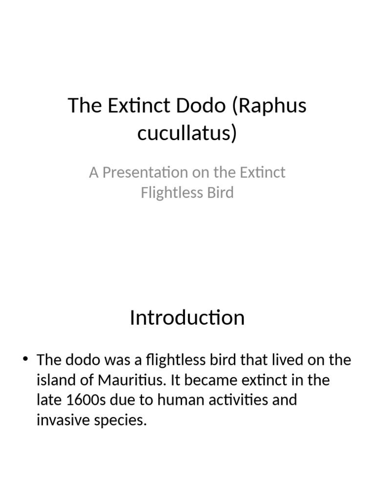 Dodo Presentation | PDF