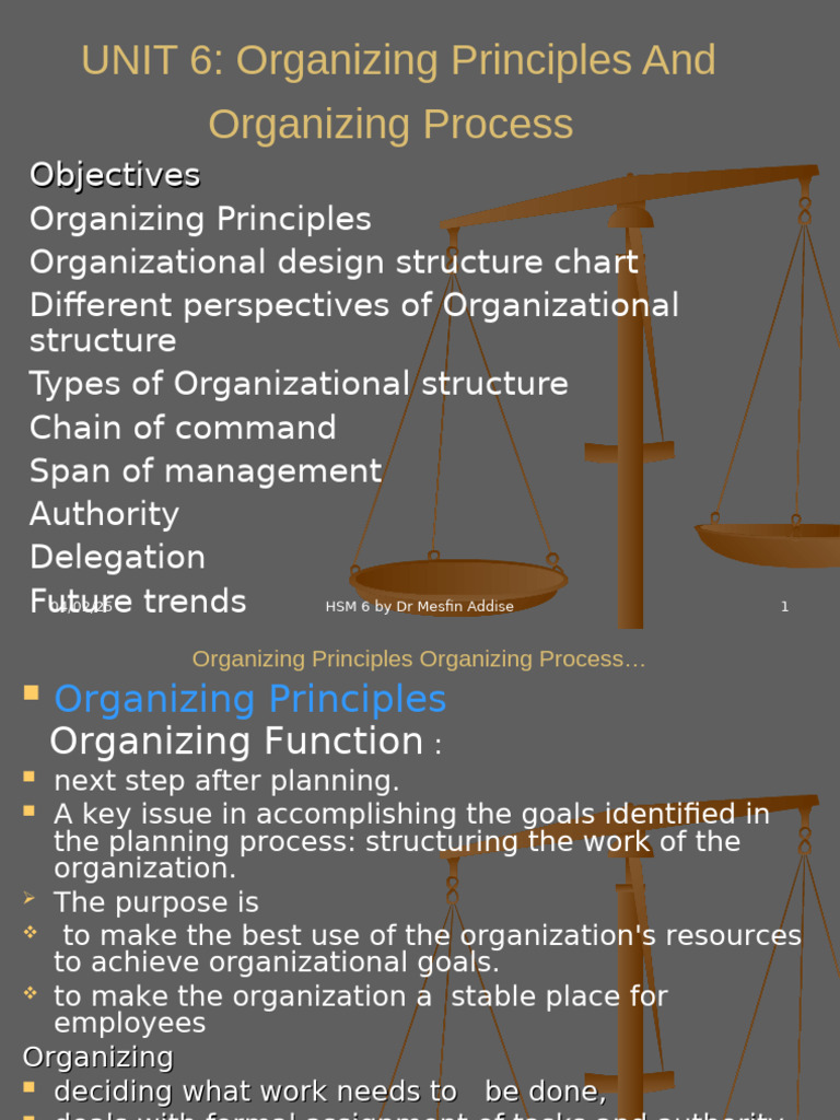 Part 3 HSM 6 Organizing Principles & Process | PDF | Organizational ...