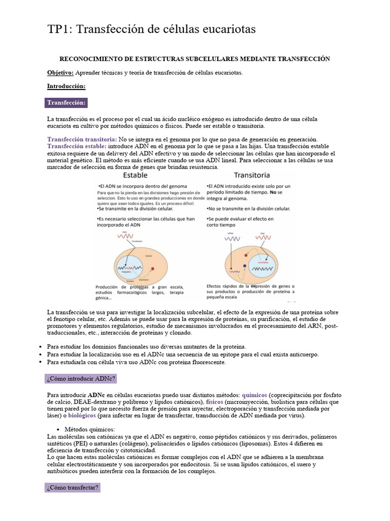 TP Biocel 1 | PDF | Biología Celular | Biología Molecular