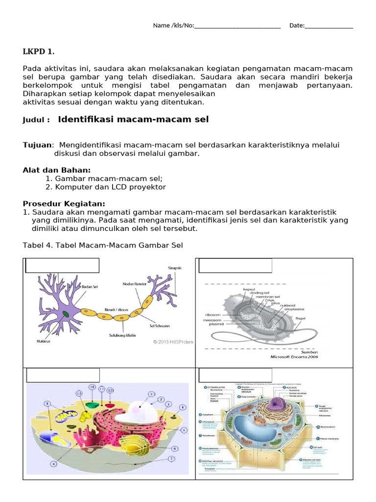 LKPD-1 (Identifikasi macam-macam sel) | PDF