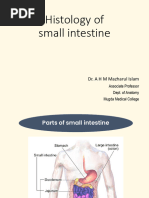 Histological Comparison of Intestines | PDF | Small Intestine ...
