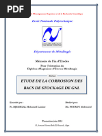 DTU 55.2 Revetements Muraux en Pierre | PDF | Acier inoxydable | Mur