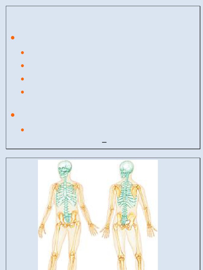 Skeletal System Overview | PDF | Bone | Skeleton